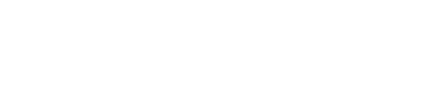 Partner Page - BlueCat